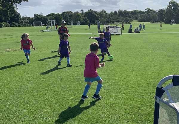 Home | Mosman Football Club : Mosman Football Club